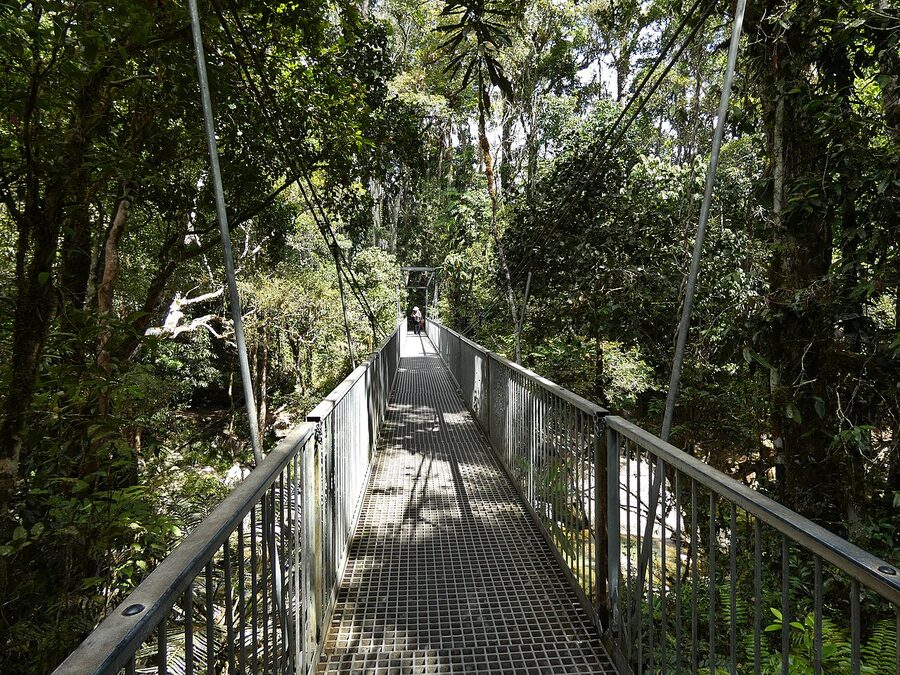Suspension bridge over Rex Creek in Mossman Gorge