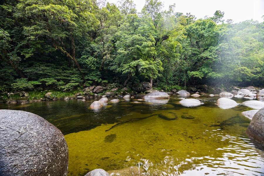 Peaceful creek surrounded by Queensland rainforest