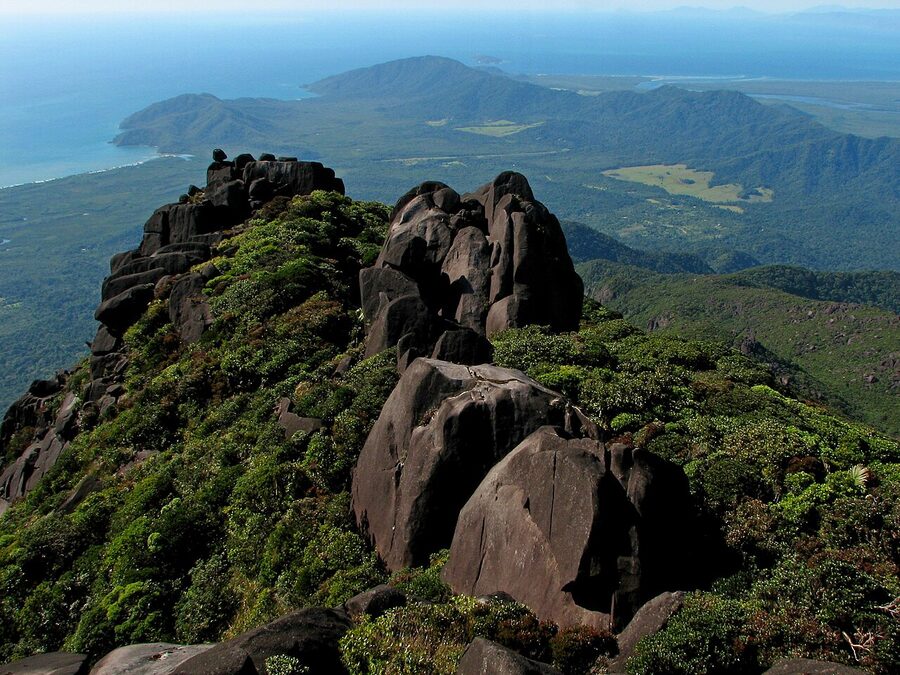 Thornton Peak rising over Daintree National Park