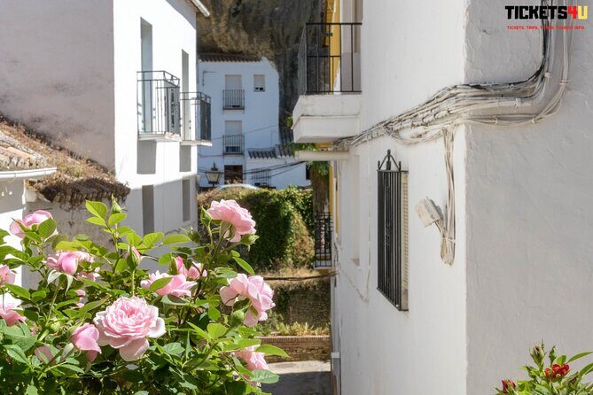 Day in Pueblos Blancos and Ronda from Seville - The Transportation & Group Size