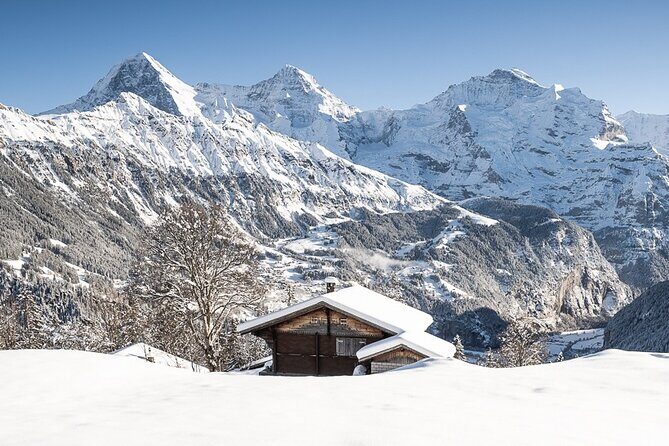 Day Sledding in Interlaken - Accessibility & Practical Details