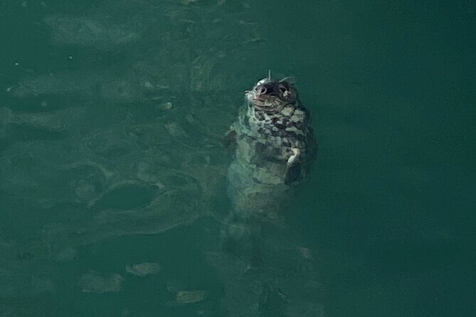 Day Tour from Dublin to Wicklow: Cliffs, Heritage, Wildlife, Gaol - Final Thoughts