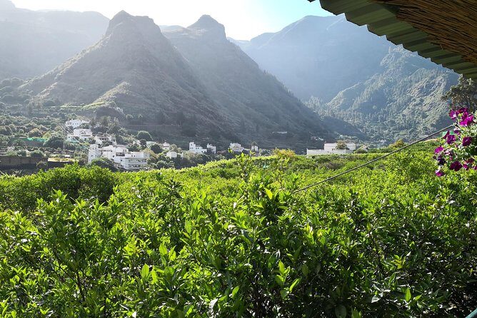 Day Tour in North of Gran Canaria with Wine Tasting - Who Will Love This Tour?