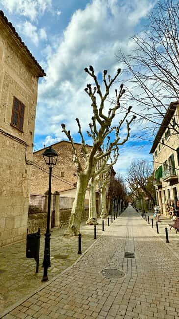 DAY TOUR or SUNSET TOUR Port de Sóller, Sóller & Valldemossa - Is It Worth the Price?