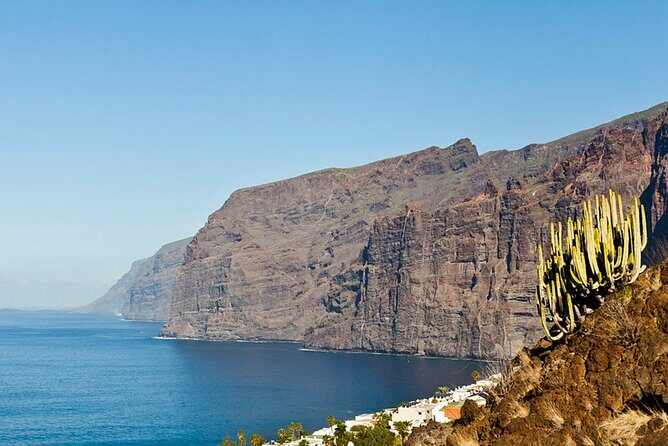 Day Tour with Official Guide Around the Island of Tenerife - Authentic Experiences & Tips