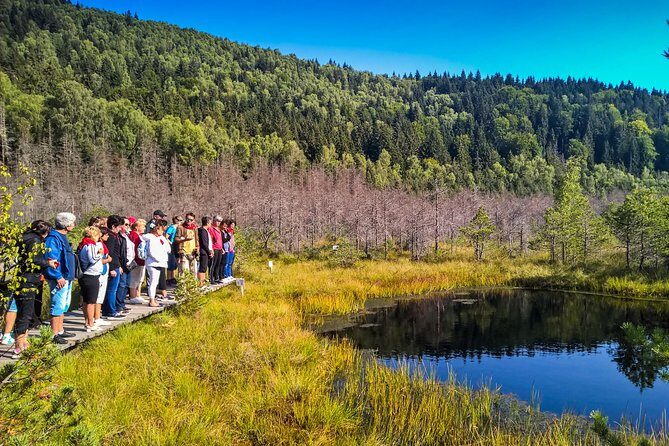 Day Trip & Bear Watching in the Land of Volcanoes - Saint Anna Lake: Romania’s Only Volcanic Crater Lake