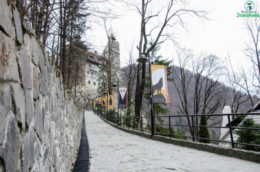 Day trip Bran Castle, Rasnov Fortress and Bear Sanctuary - Authentic Experiences and Hidden Gems