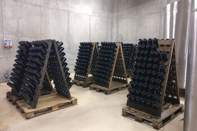 Day trip from Bratislava: Winery Tour with Wine Tasting in the Countryside - FAQ