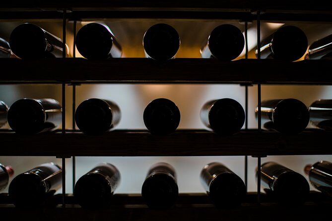 Day trip Lisbon Wine Tasting - Private tour - Who Is This Tour Perfect For?