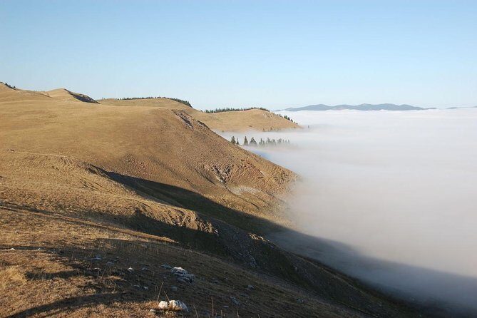 Day trip on Quad ATV - Transylvanian outdoor adventure - The Experience of Riding a Quad in Transylvania