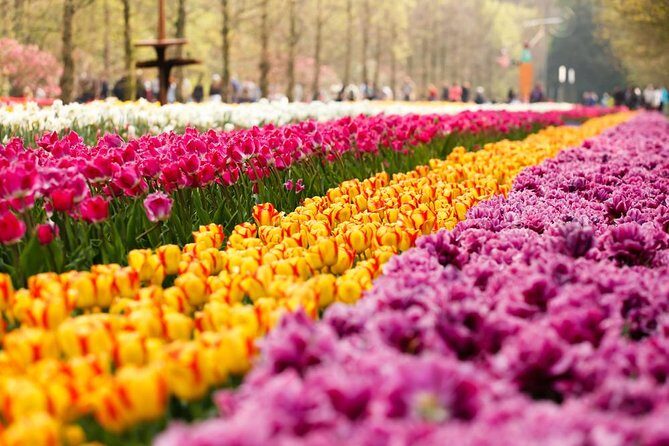 Day Trip to Keukenhof Gardens from Amsterdam with Tour Guide - Itinerary Deep Dive