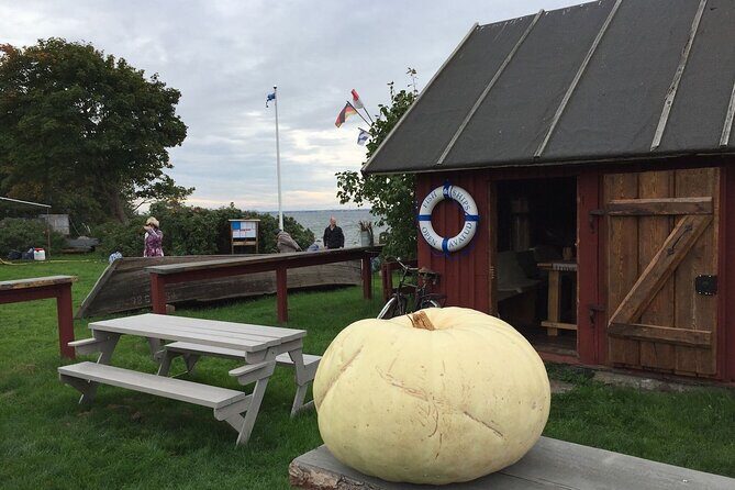 Day Trip to Land of Bays, the Romantic North-Coast from Tallinn - Who Is This Tour Best For?