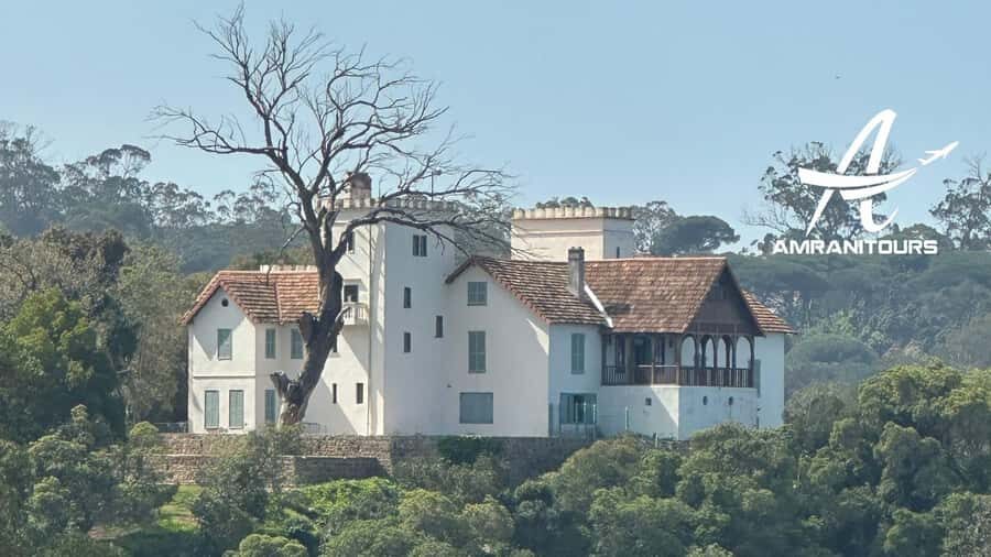 Day trip to Tangier from Tarifa all inclusive - Who Is This Tour Best Suited For?