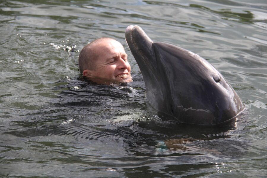 Dolphin fin breaking the water in Florida