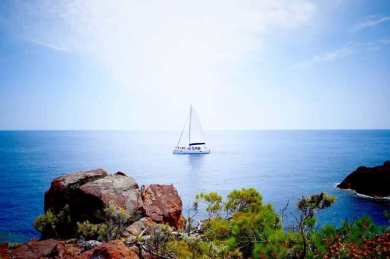Denia/Jávea: a day at sea with paella on Isla Portitxol - The Experience: A Deep Dive into the Day at Sea