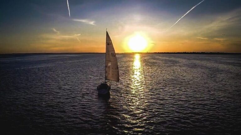 Denia: Sunset Electric Sailboat Cruise with Dolphin Spotting - What to Expect on the Sunset Electric Sailboat Cruise