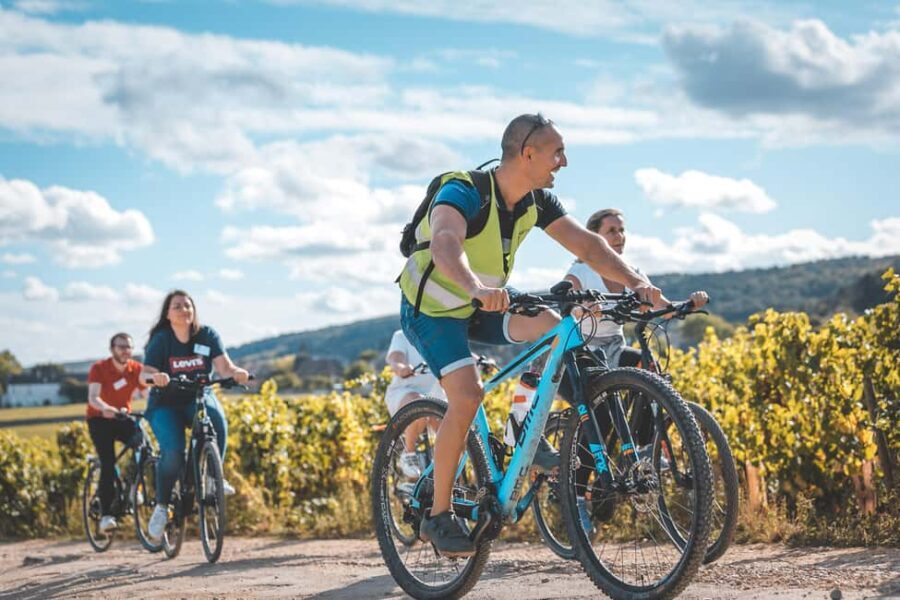 Dijon: Bike tour and Tastings in the Vineyards of Burgundy - Final Thoughts