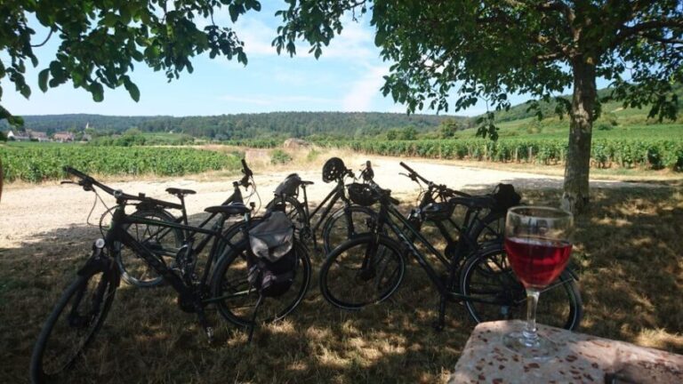 Dijon: Half-Day Guided Gourmet Bike Tour - Overview of the Tour