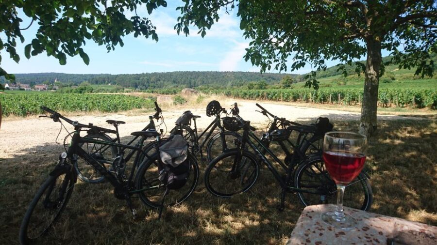 Dijon: Half-Day Guided Gourmet Bike Tour - Overview of the Tour