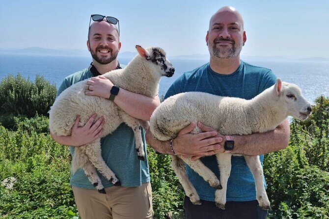 Dingle: Hour Slea Head Drive Tour 4hr - Personal Chauffeur Guide - Final Thoughts