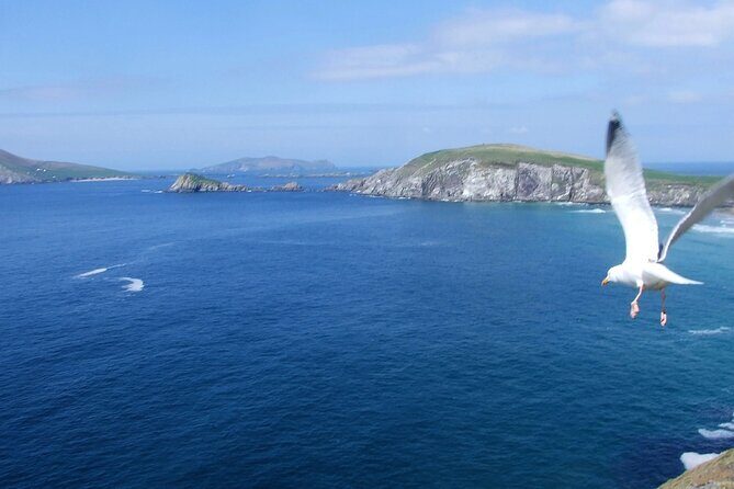 Dingle Peninsula Private Tour Half Day - Why Choose This Tour?