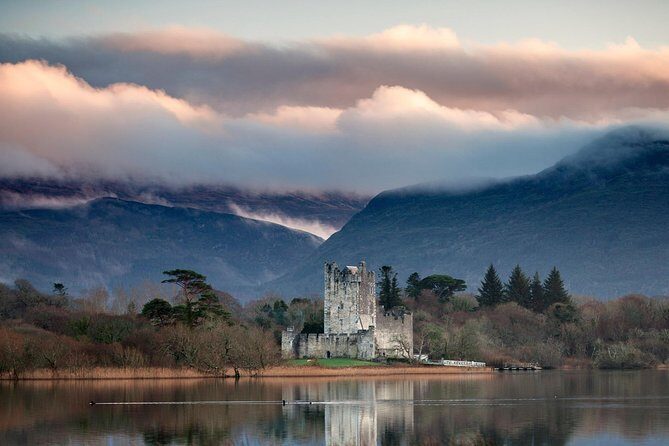 Dingle Peninsula & Slea Head Private Day Tour - Who Will Love This Tour?