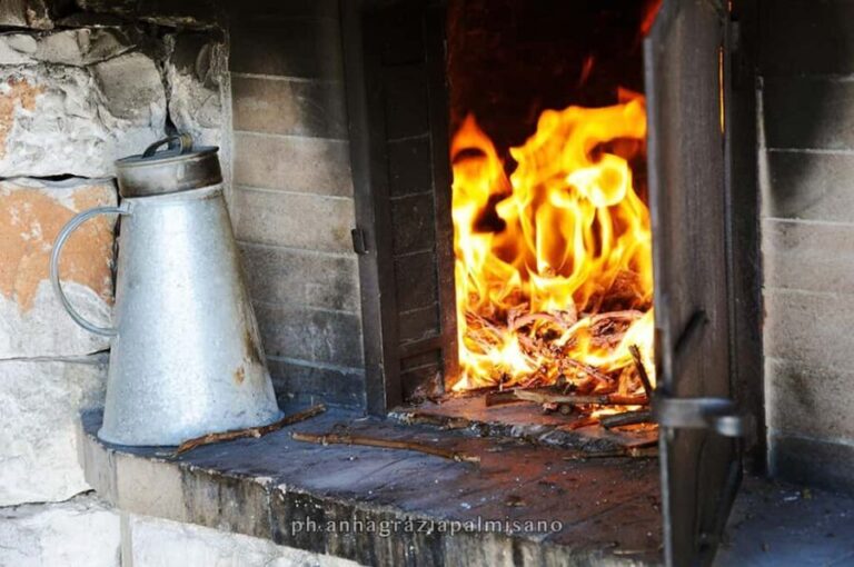 Dinner in the vineyard and wine tasting under the stars - A Complete and Flavorful Journey in Apulia