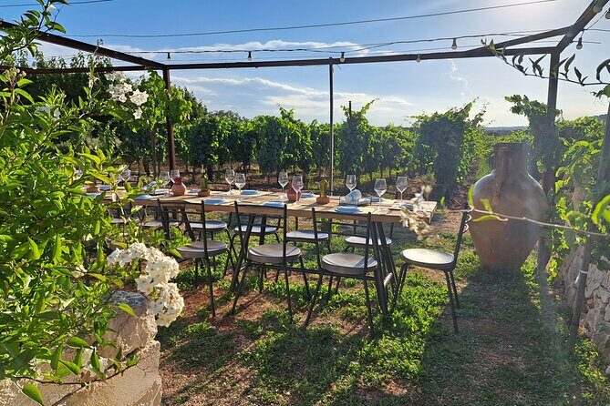 Dinner in the vineyard with wine tasting and walk - The Logistics: What You Need to Know