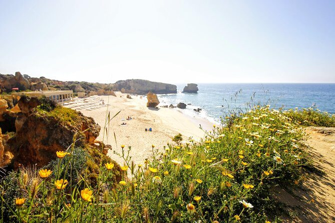 Discover Albufeira in a Tuk Tuk - The Detailed Itinerary: What to Expect