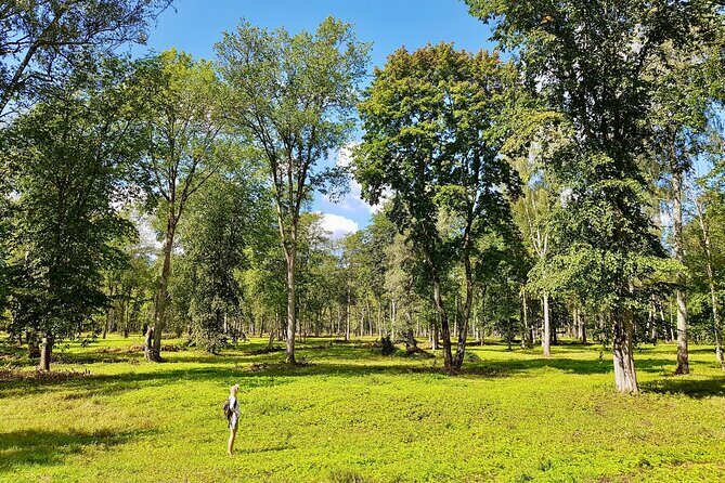 Discover Best Of Gauja National Park In One Day - Who Is This Tour Best For?