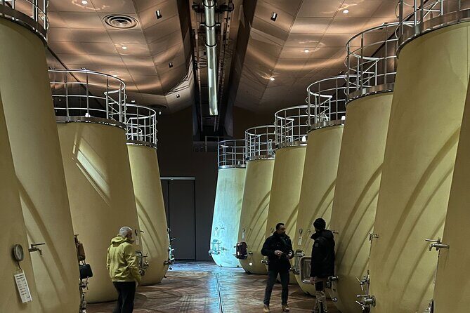 Discover Brunello Wines with DiWine Experience - The Value of the Tour: Is It Worth It?