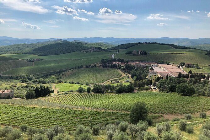 Discover Chianti Classico Wines DiWine Experience - What Reviewers Say: Authentic Insights