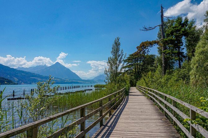 Discover Interlakens most Photogenic Spots with a Local - The Experience in Practice: Details That Matter