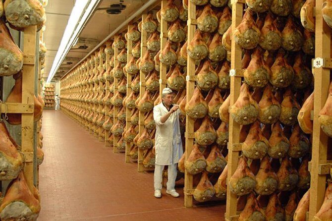 Discover Parmas Flavors: Parmigiano & Prosciutto Food Tour - Who Is This Tour Best For?