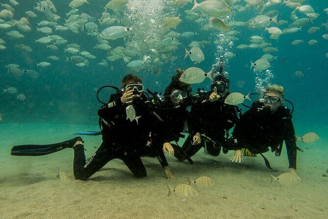 Discover Scuba Diving - Why the Reviews Speak Volumes