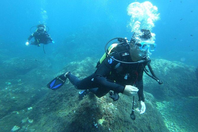 Discover scuba diving - Why This Tour Offers Excellent Value