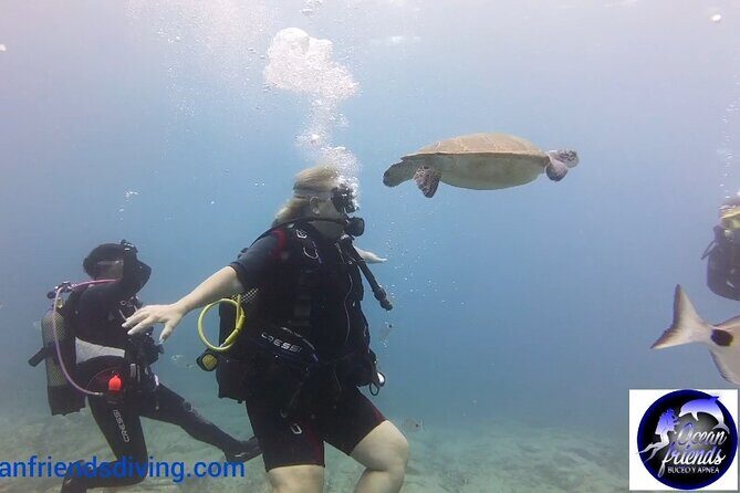 Discover Scuba Diving, free pictures included - Who Will Love This Experience?
