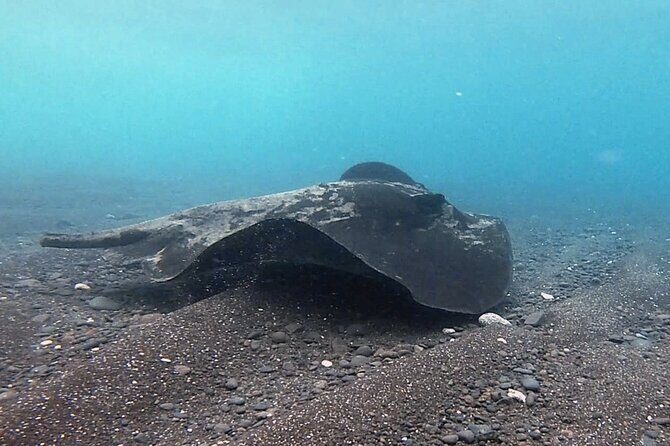 Discover Scuba Diving in Costa Calma - Who Should Consider This Tour?