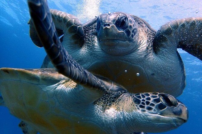 Discover Scuba Diving - Try it for the first time! - Who Should Consider This Tour?