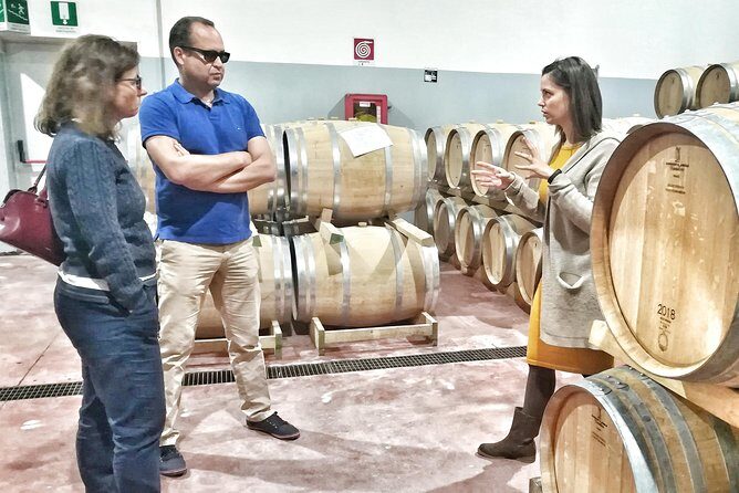 Discover the best cellars of Salento - The Tasting & Food