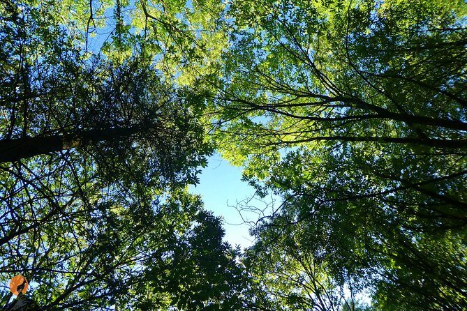 Discovering Nature in Serra da Lousã - Frequently Asked Questions