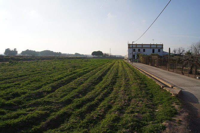 Discovering Valencia - private full day tour - The Guide & Experience Quality