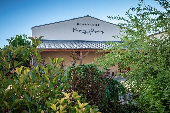 Discovery of a Champagne from Vintner, from the cellar to the tasting - The Experience from a Traveler’s Perspective