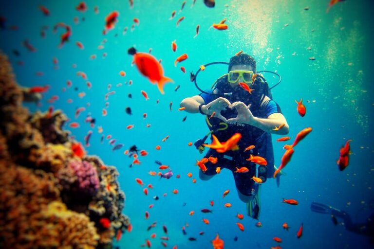 Diver surrounded by colorful fish and coral reef underwater