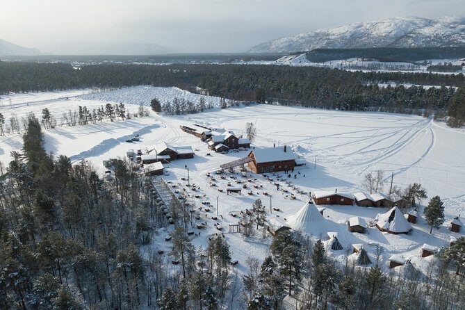 Dog Sled Tour and Husky Cuddles - Why This Tour Is a Great Choice