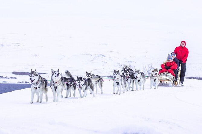 Dog Sledding Tour near Akureyri - Practical Details and Recommendations