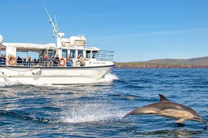 Dolphin Discovery Eco Tour - The Value of the Dolphin Discovery Eco Tour