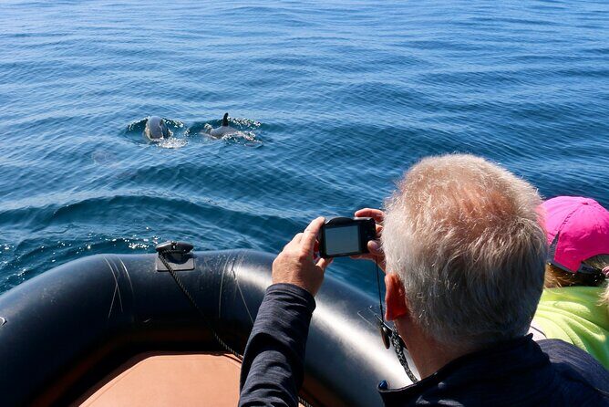 Dolphin Observation Boat Tour from Sesimbra - Who Should Consider This Tour?
