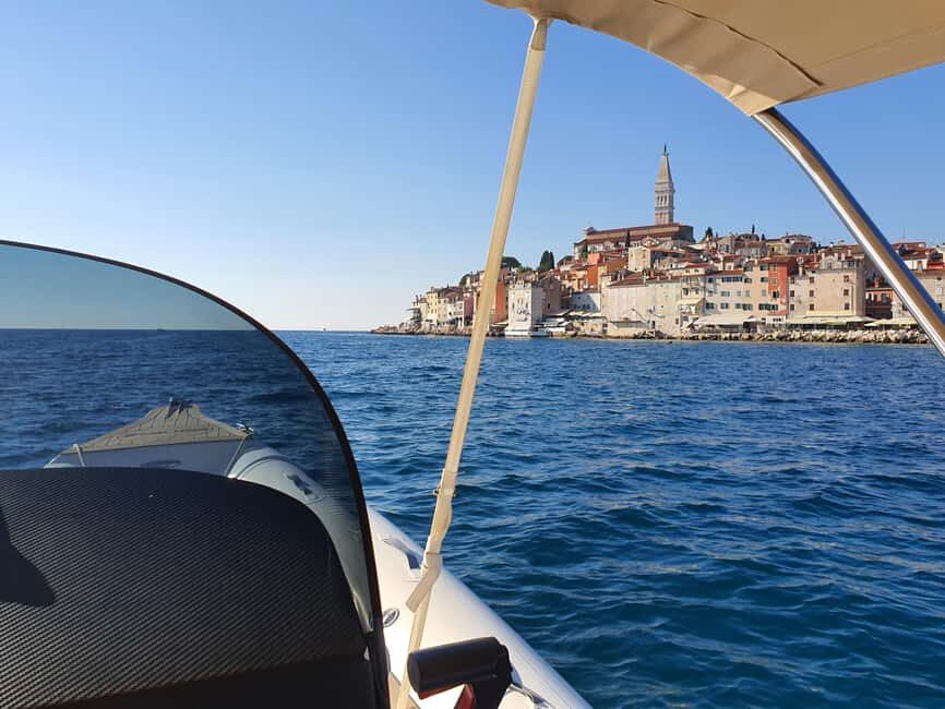 Dolphin safari every morning&evening - The Marine Experience: What Youll See and Feel