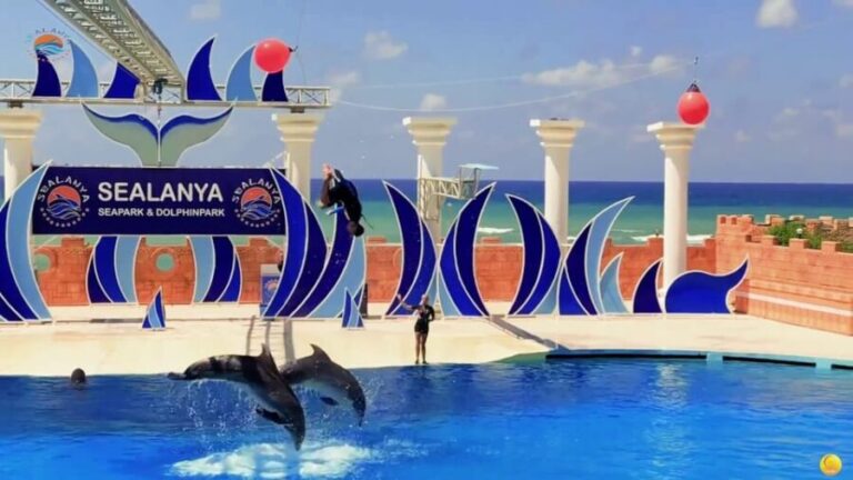 Dolphin Show Free Transfer From Alanya, Side, Kemer,Antalya - What to Expect from This Dolphin Show Tour